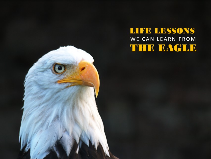 Lessons from the Eagle – Mindful of His Ways